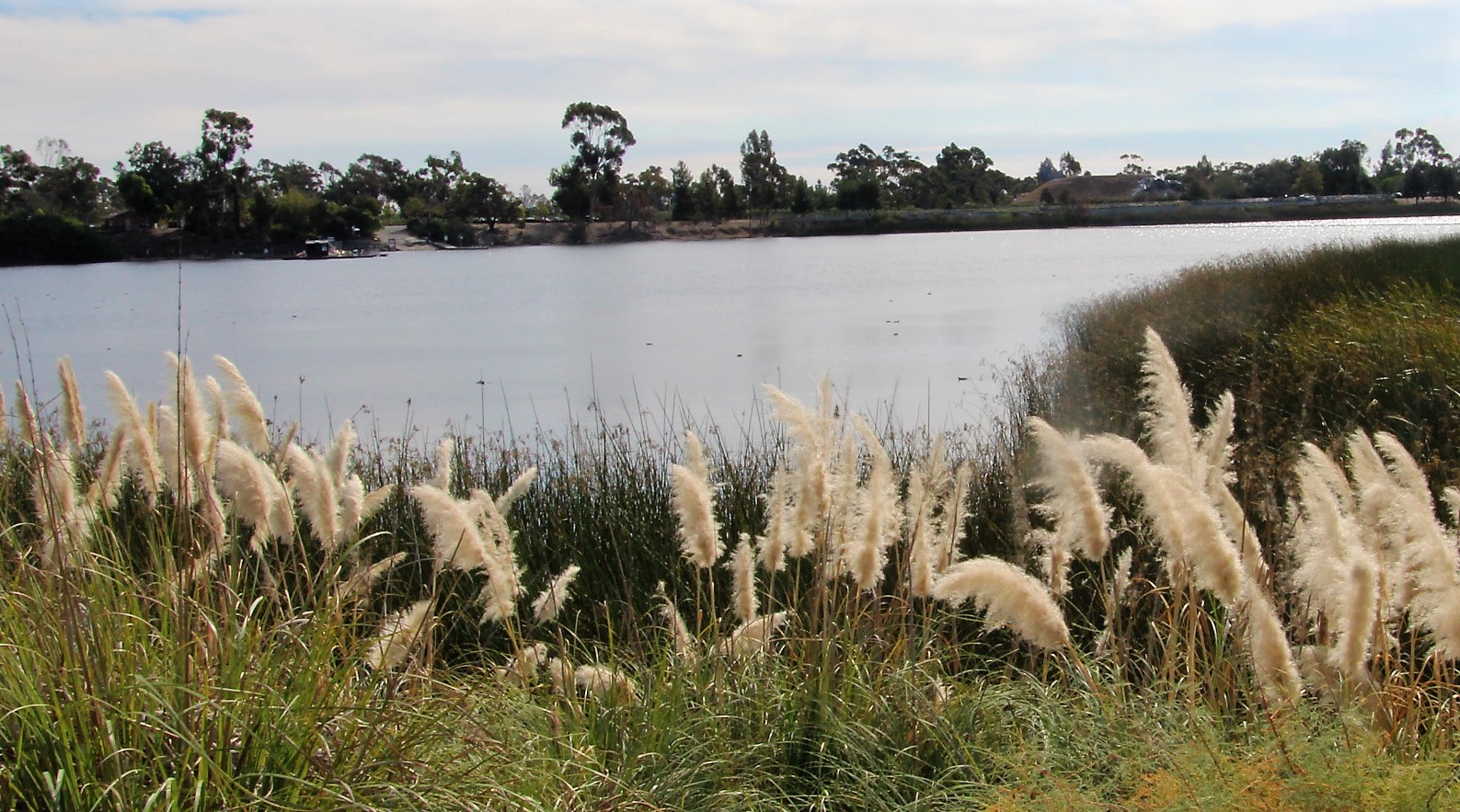 Lake Miramar Loop Trail - SJF Communications - 'Creative Ideas ...